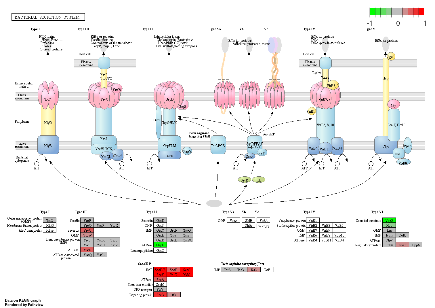 Transcriptomics visualization